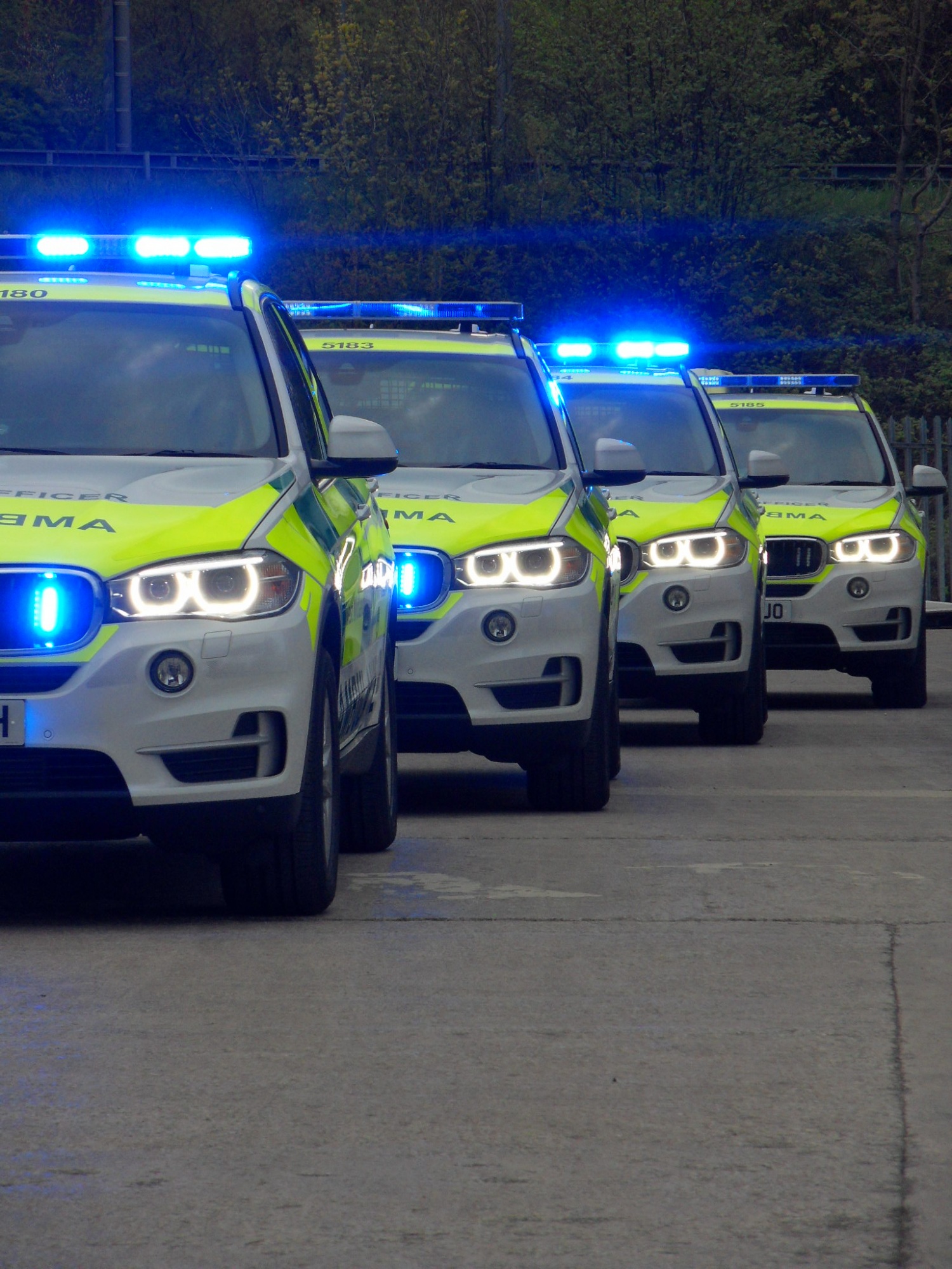 Liberty™ II Series - Woodway Engineering